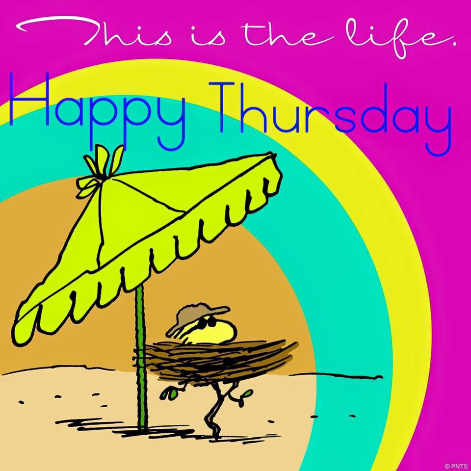 This Is The Life Happy Thursday Pictures, Photos, and Images for ...