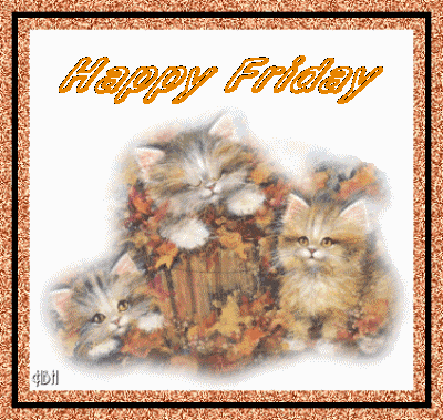 Cute Friday Cats Pictures, Photos, and Images for Facebook, Tumblr ...