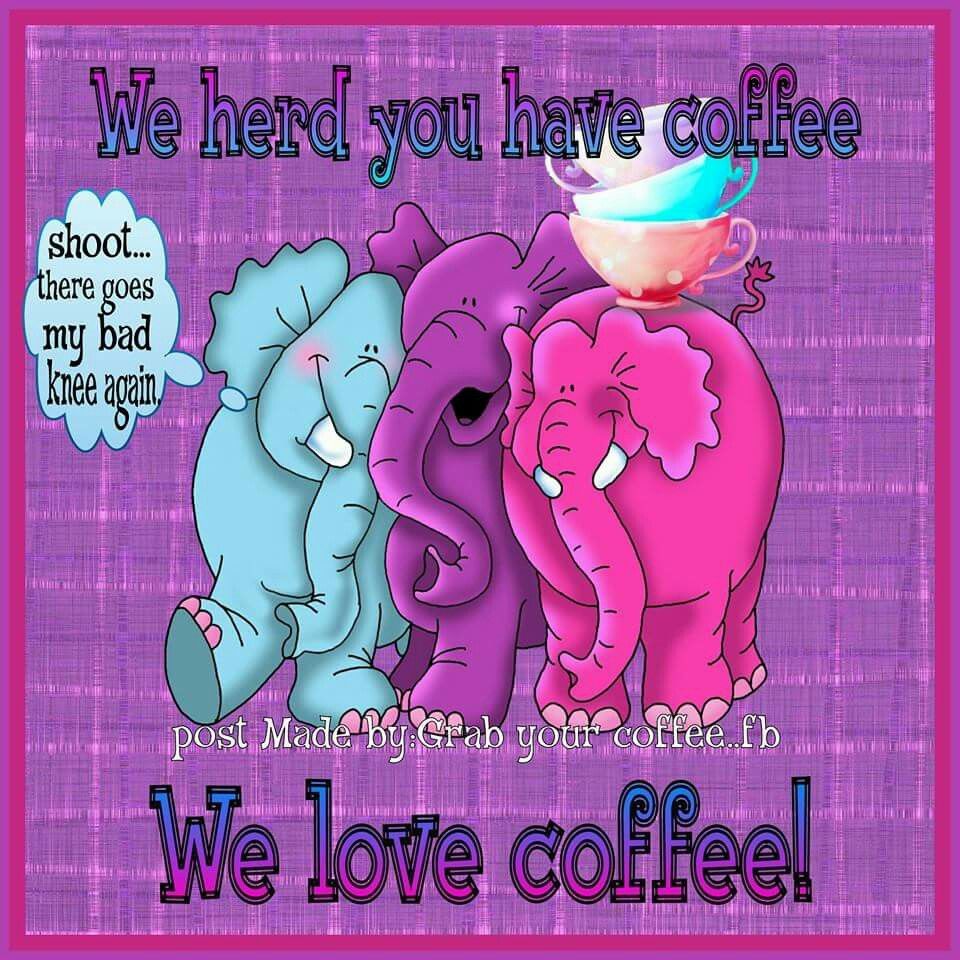 We Herd You Have Coffee... Pictures, Photos, and Images for Facebook ...