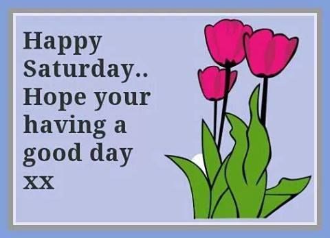 Happy Saturday Hope You Have A Good Day Pictures, Photos, and Images ...