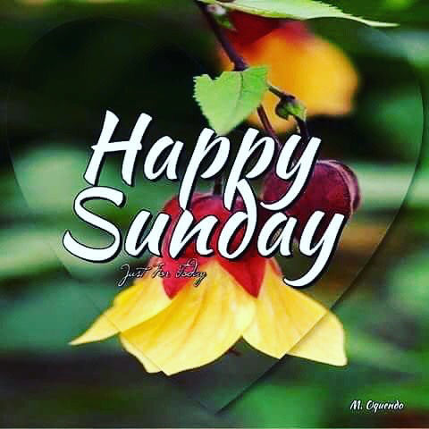 Happy Sunday Pictures, Photos, and Images for Facebook, Tumblr ...