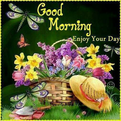 Good Morning, Enjoy Your Day Pictures, Photos, and Images for Facebook ...