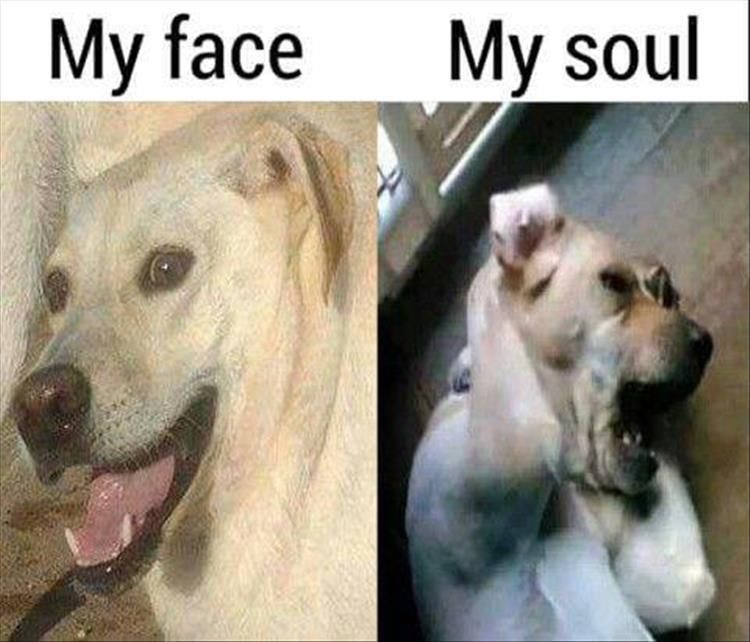 My Face Vs My Soul Pictures, Photos, and Images for Facebook, Tumblr, Pinterest, and Twitter