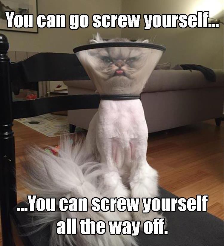 You Can Go Screw Yourself...You Can Screw Yourself All The Way Off ...