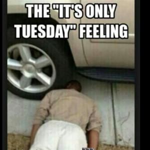 The "It's Only Tuesday" Feeling Pictures, Photos, and Images for ...