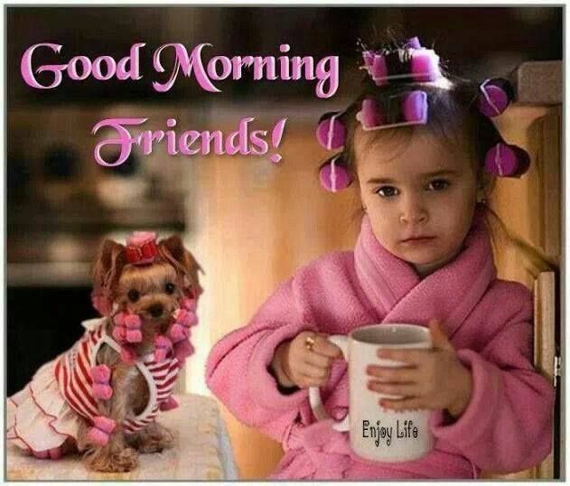 Good Morning Friends Pictures, Photos, and Images for Facebook, Tumblr ...