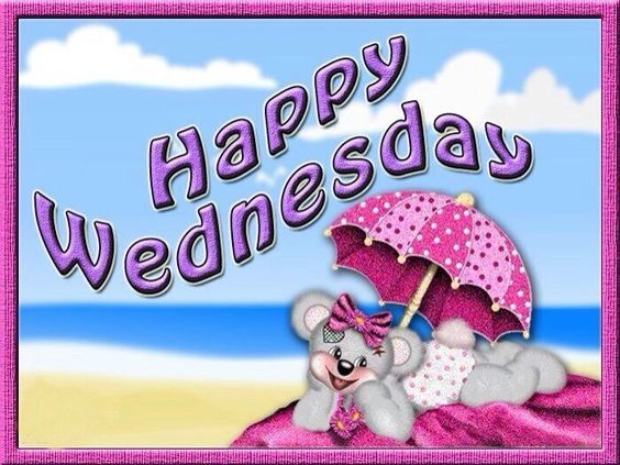 Cute Wenesday Tatty Bear Pictures, Photos, and Images for Facebook ...