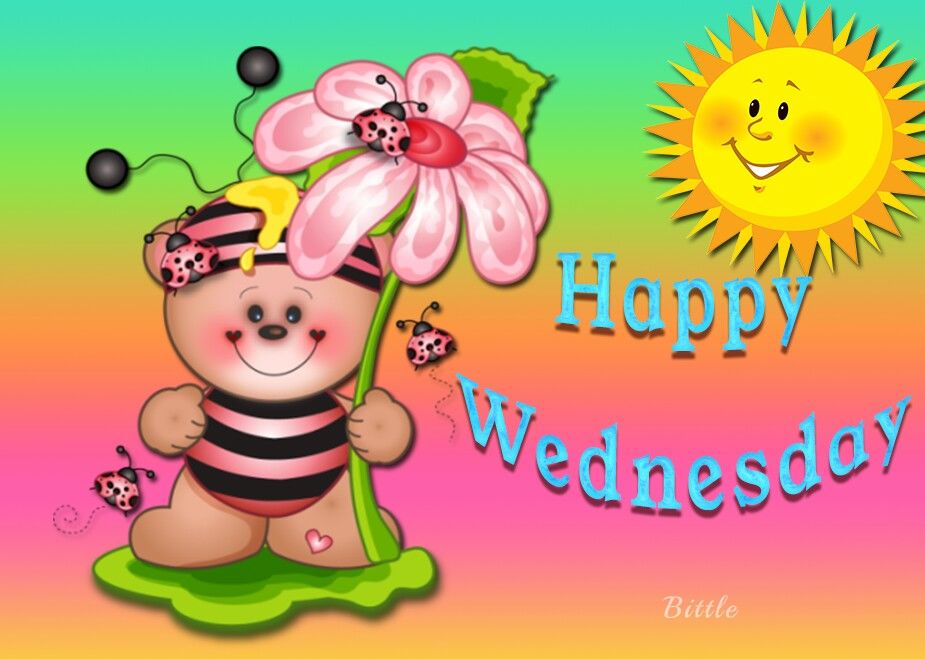 Cute Wednesday Lady Bug Bear Pictures, Photos, and Images for Facebook ...