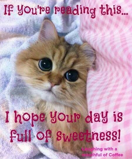 I Hope Your Day Is Full Of Sweetness Pictures, Photos, and Images for ...