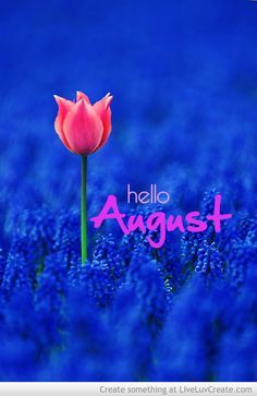 Hello August Pictures, Photos, and Images for Facebook, Tumblr ...