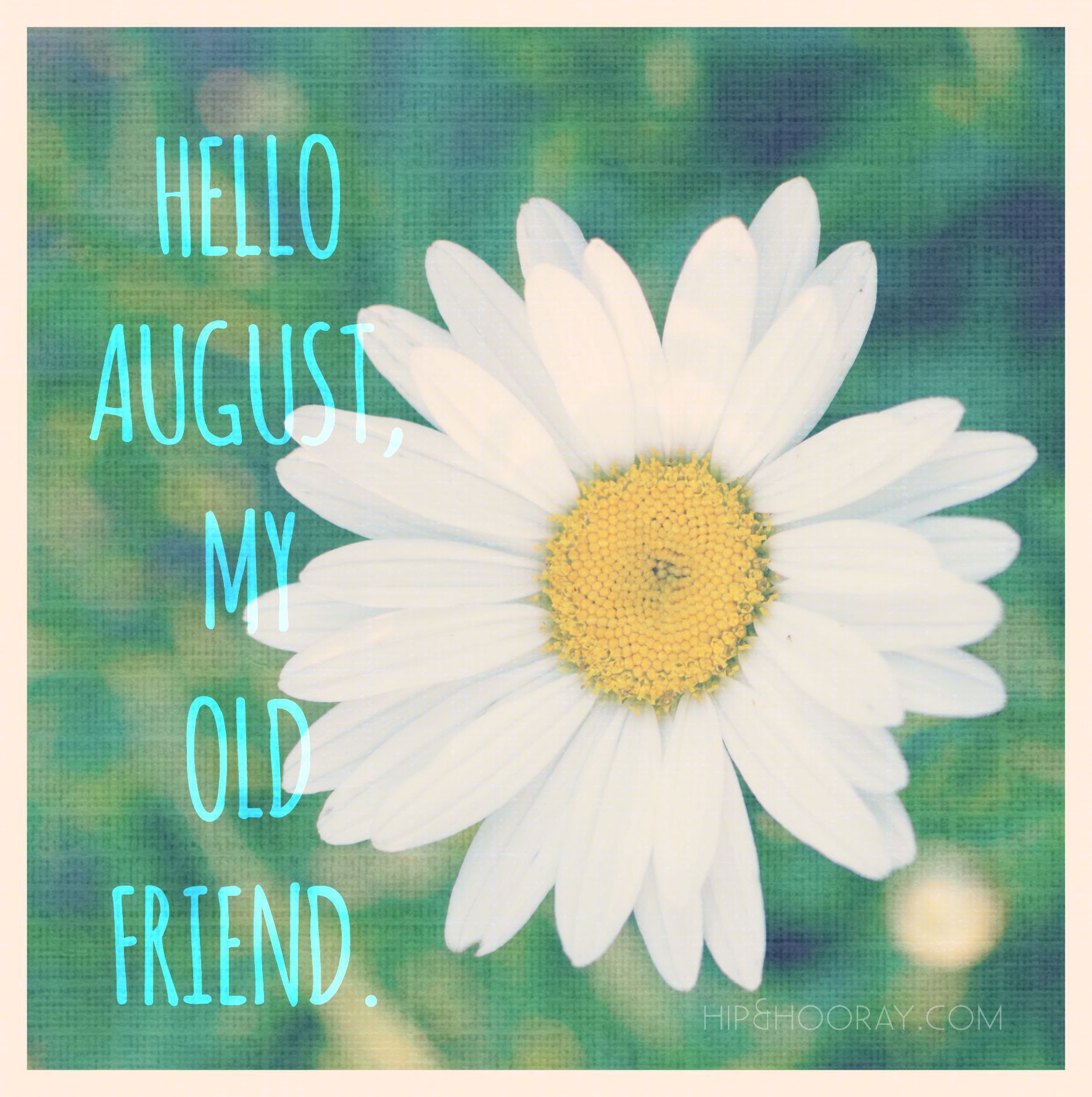 Hello August, My Old Friend Pictures, Photos, and Images for Facebook ...