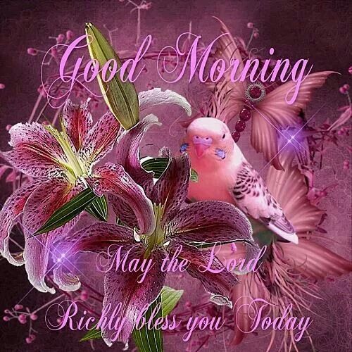 Good Morning, May The Lord Richly Bless You Today Pictures, Photos, and ...