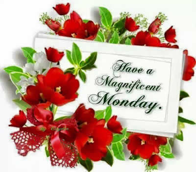Have A Magnificent Monday Pictures, Photos, and Images for Facebook ...