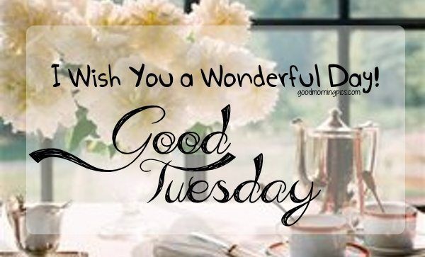 Good Tuesday Pictures, Photos, and Images for Facebook, Tumblr ...