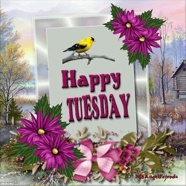 Happy Tuesday Pictures, Photos, and Images for Facebook, Tumblr ...