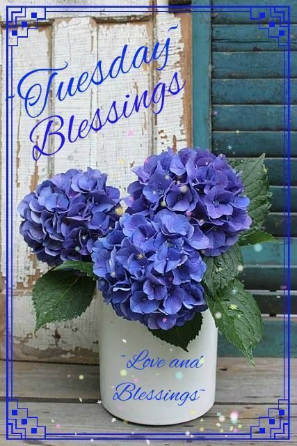 Tuesday Blessings, Love And Blessings Pictures, Photos, and Images for ...