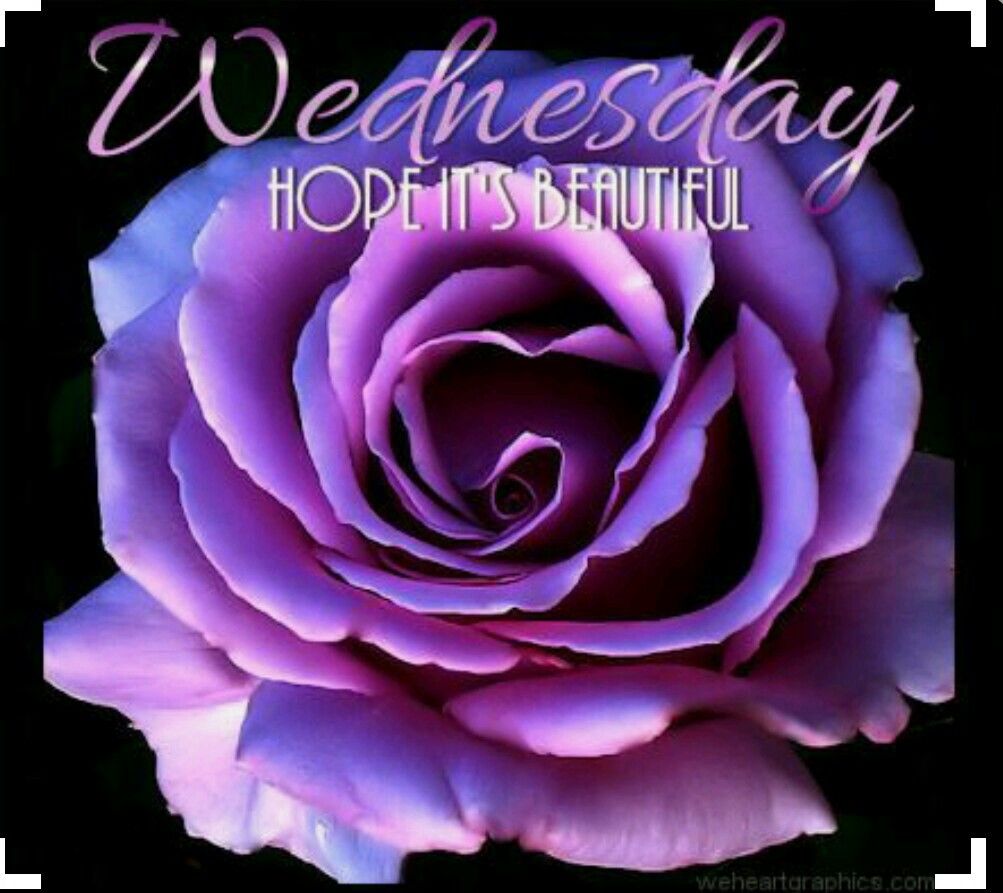 Wednesday, Hope Its Beautiful Pictures, Photos, and Images for Facebook ...