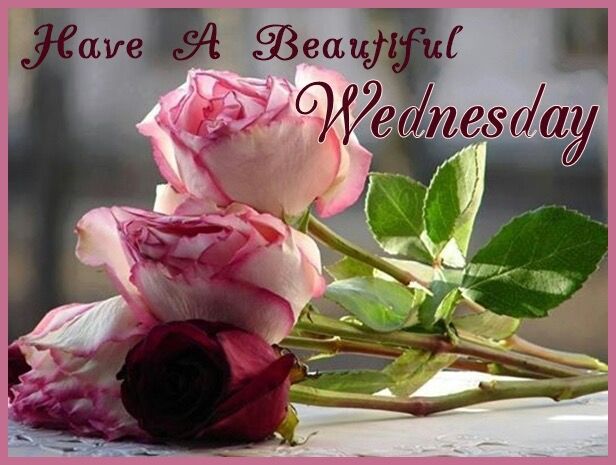 Have A Beautiful Wednesday Pictures, Photos, and Images for Facebook ...
