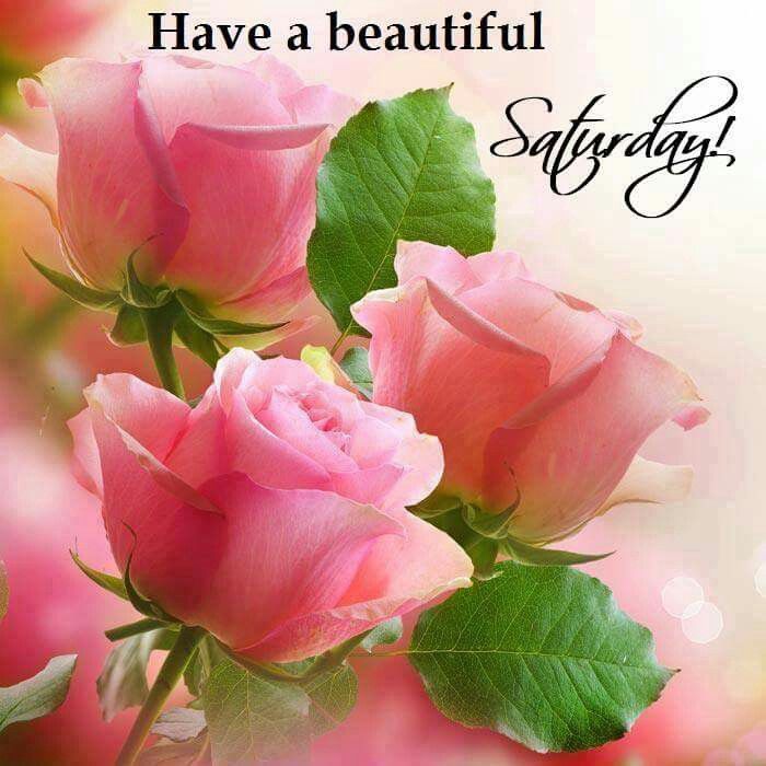 Have A Beautiful Saturday Pictures, Photos, and Images for Facebook ...
