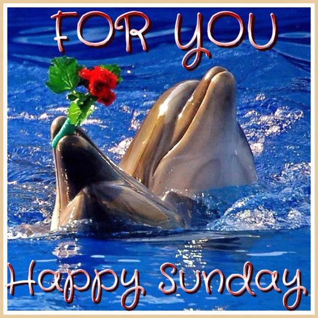 Happy Sunday Pictures, Photos, and Images for Facebook, Tumblr ...