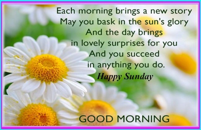 Happy Sunday, Good Morning Pictures, Photos, and Images for Facebook ...