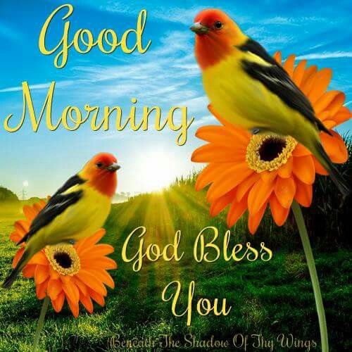 Good Morning, God Bless You Pictures, Photos, and Images for Facebook ...
