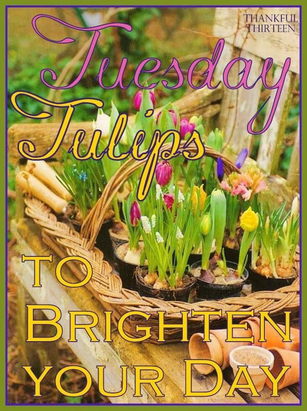 Tuesday Tulips Pictures, Photos, and Images for Facebook, Tumblr ...