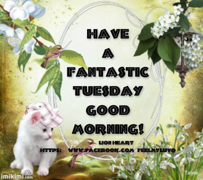 Have A Fantastic Tuesday Pictures, Photos, and Images for Facebook ...