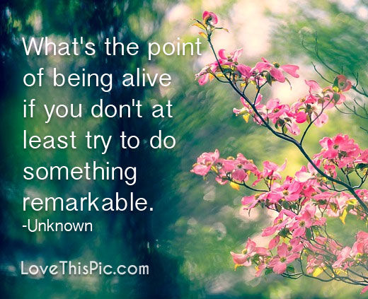 What's The Point Pictures, Photos, and Images for Facebook, Tumblr ...