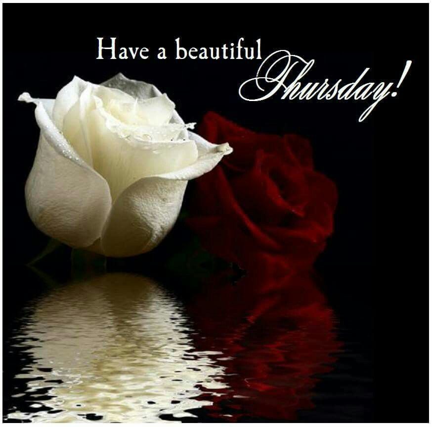 Have A Beautiful Thursday Pictures, Photos, and Images for Facebook ...