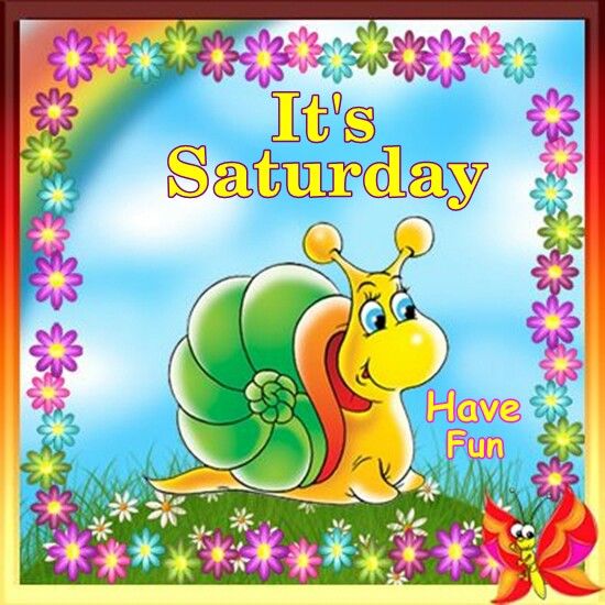 It's Saturday Have Fun Pictures, Photos, and Images for Facebook ...