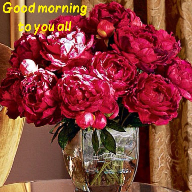 Good Morning To You All Pictures, Photos, and Images for Facebook ...