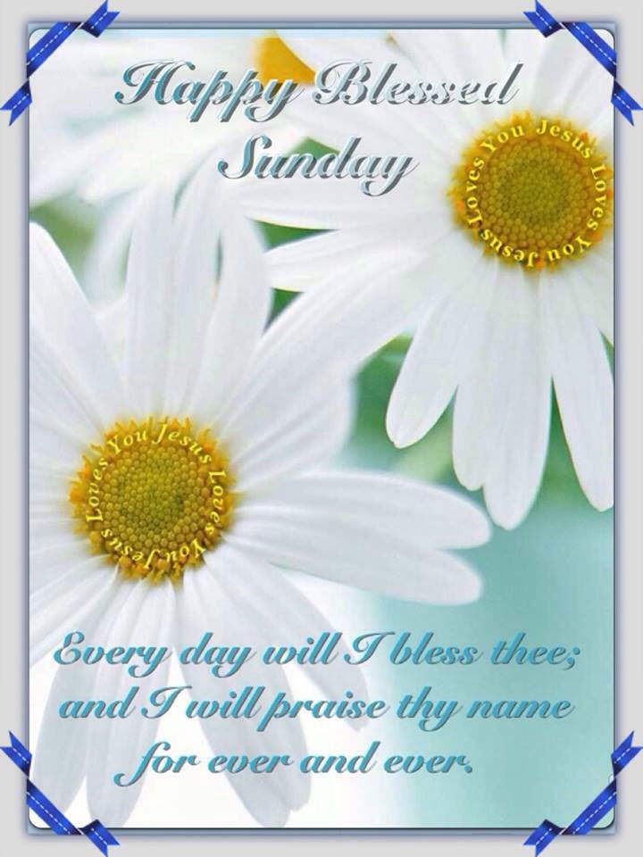 Happy Blessed Sunday I Bless Thee Pictures, Photos, and Images for ...