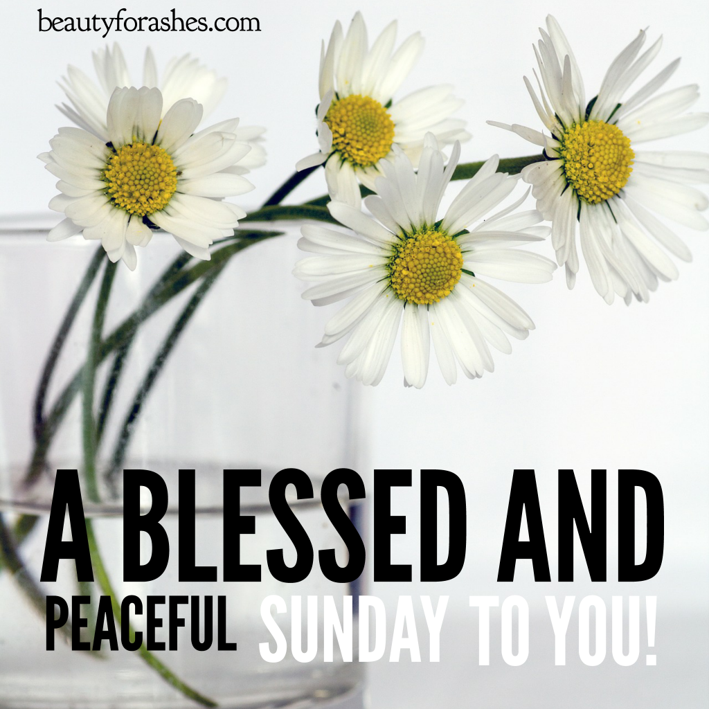 A Blessed And Peaceful Sunday To You Pictures, Photos, and Images for ...