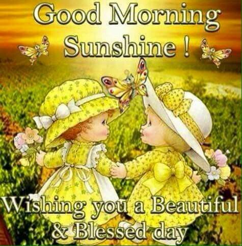 Good Morning Sunshine Pictures, Photos, and Images for Facebook, Tumblr ...