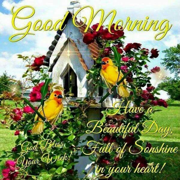 Good Morning Pictures, Photos, and Images for Facebook, Tumblr ...