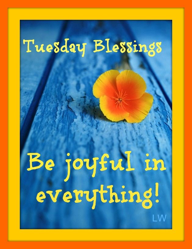 Tuesday Blessings, Be Joyful In Everything! Pictures, Photos, and ...