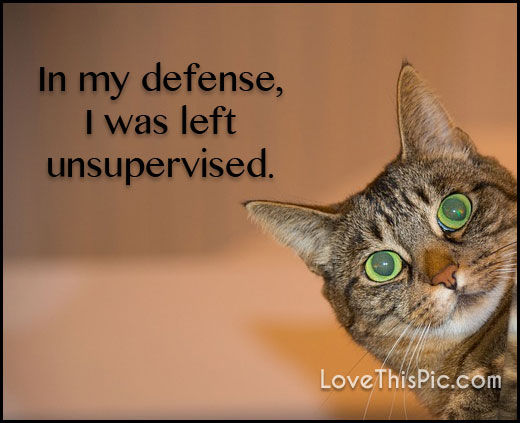 In My Defense Pictures, Photos, and Images for Facebook, Tumblr ...