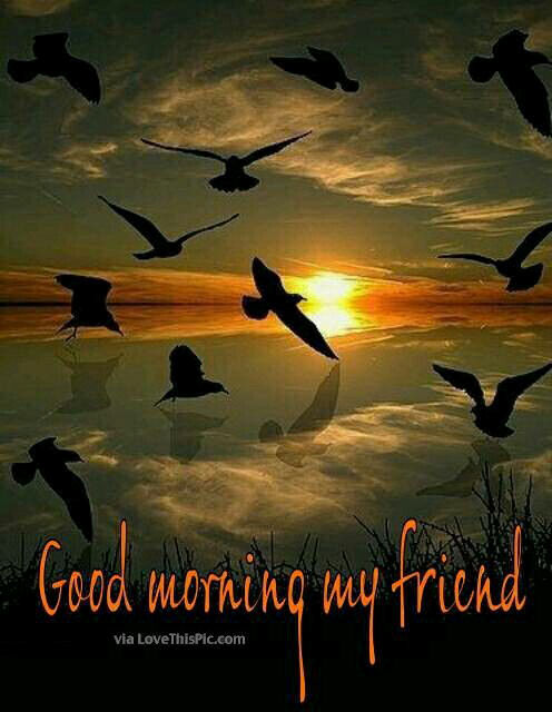 Good Morning My Friend Pictures, Photos, and Images for Facebook ...