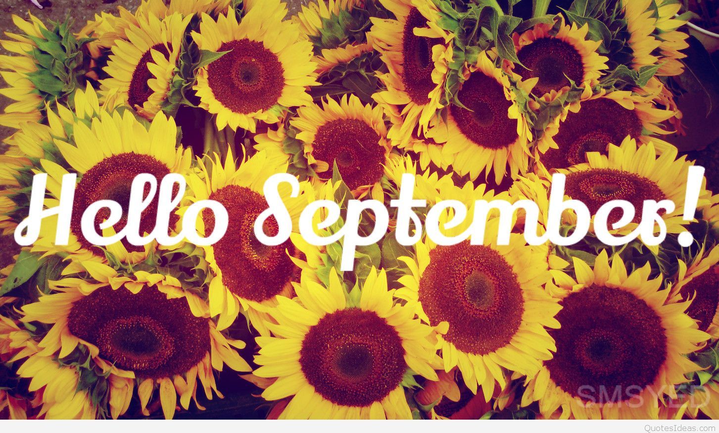 Hello September Pictures, Photos, and Images for Facebook, Tumblr ...
