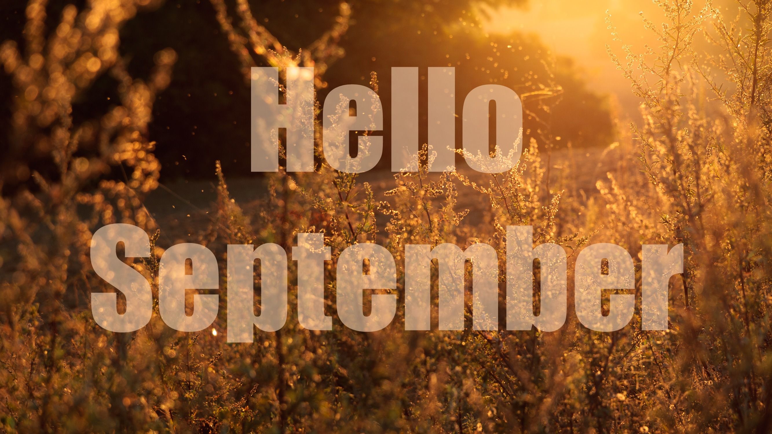 Hello September Pictures, Photos, and Images for Facebook, Tumblr ...