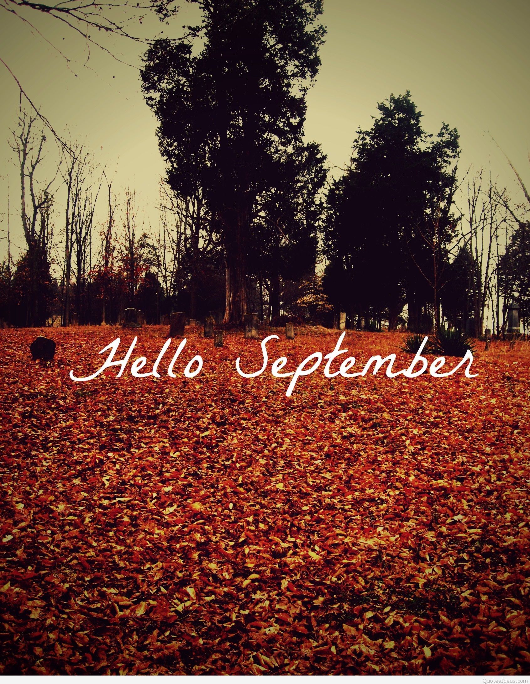 Hello September Pictures, Photos, and Images for Facebook, Tumblr ...