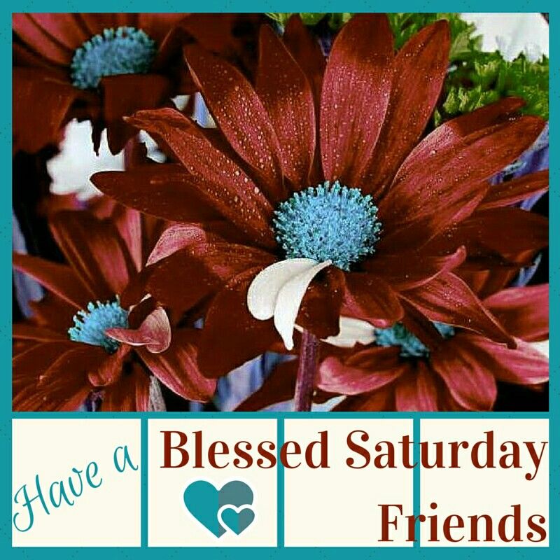 Have A Blessed Saturday Friends Pictures, Photos, and Images for ...