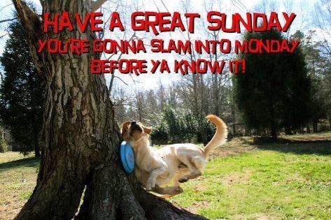 Have A Great Sunday Monday Will Be Here Before You Know It Pictures ...