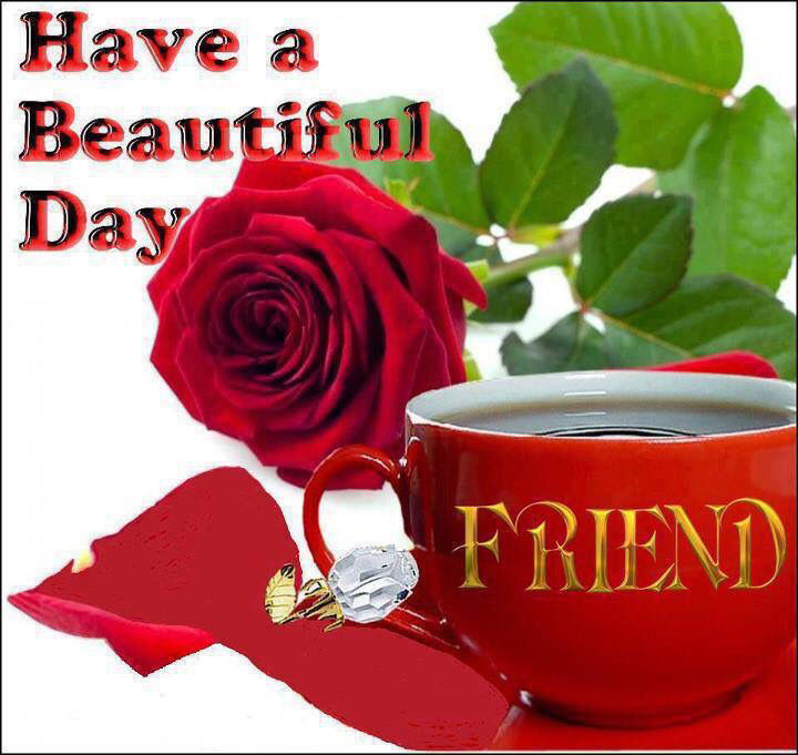 Have A Beautiful Day Friend Pictures, Photos, and Images for Facebook ...