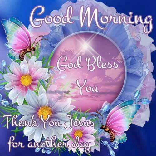 Good Morning, God Bless You Pictures, Photos, and Images for Facebook ...