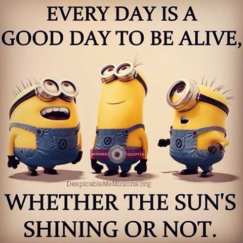Everyday Is A Good Day To Be Alive Pictures, Photos, and Images for ...