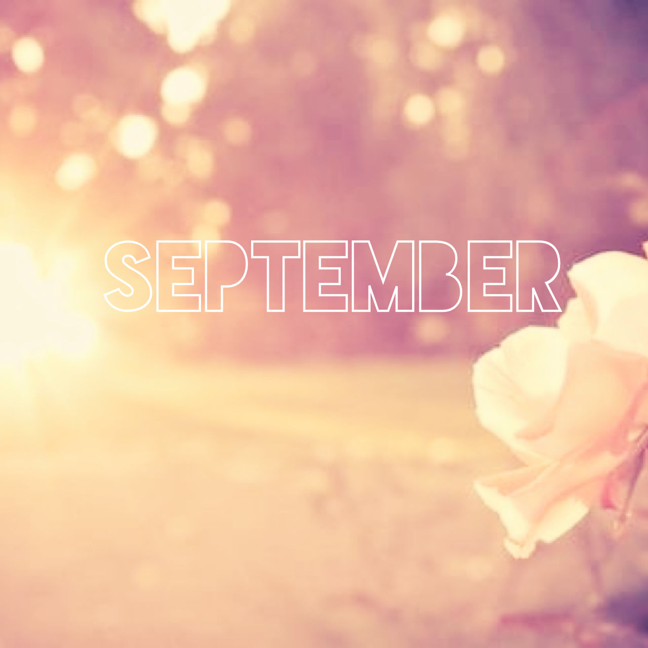 September Pictures, Photos, and Images for Facebook, Tumblr, Pinterest ...