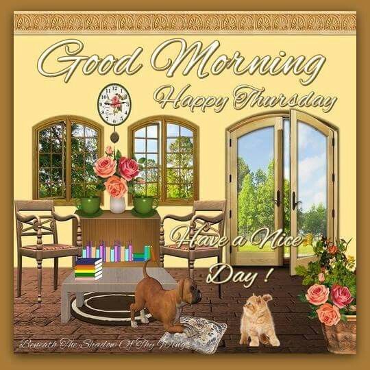 Good Morning, Happy Thursday, Have A Nice Day Pictures, Photos, and ...