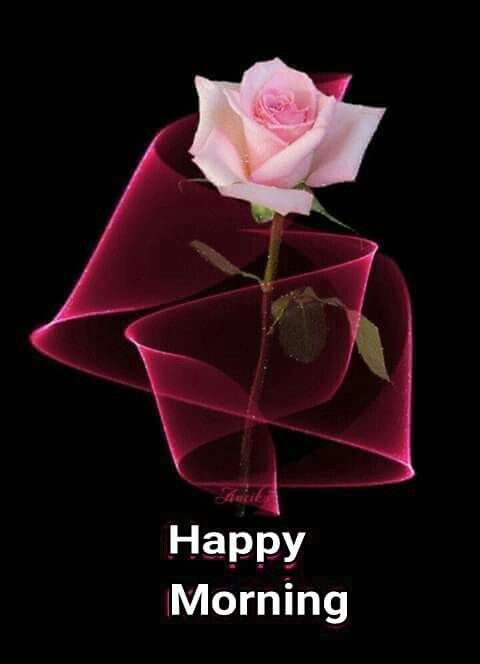 Happy Morning Pictures, Photos, and Images for Facebook, Tumblr ...